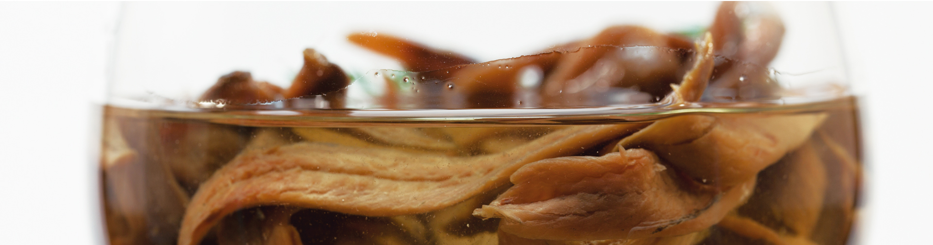 catálogo | Maisor anchovy workshop