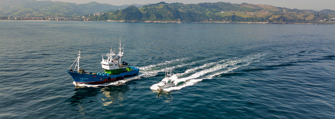 Anchoas Maisor | Conservas artesanales de anchoa de Getaria