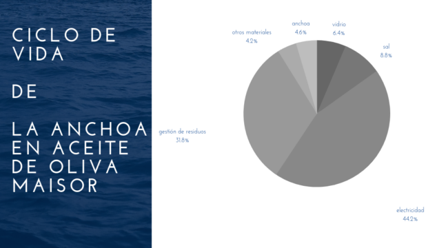 Sostenibilidad | Anchoas Maisor, Getaria
